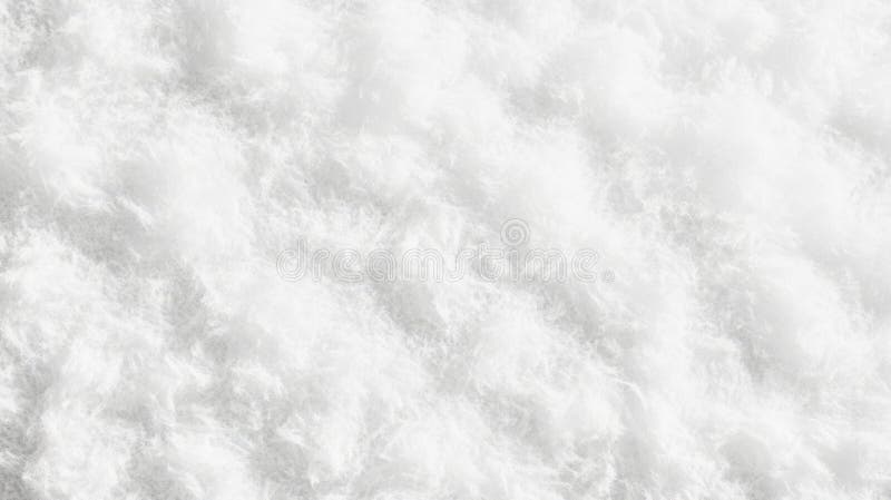 Frosty Snow Surface with Delicate Texture Illuminated by Soft Ambient ...
