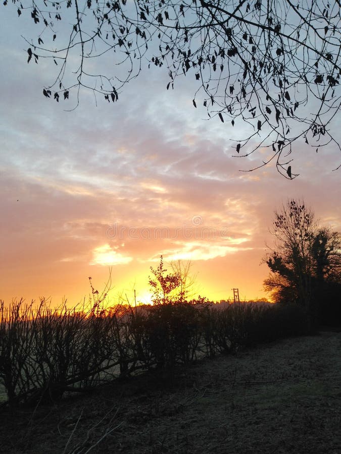 Frosty sunrise stock photo. Image of frost, frosty, ground - 70654888