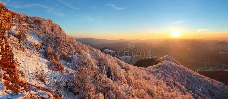 Hoarfrost stock photo. Image of greenery, branch, winter - 368378