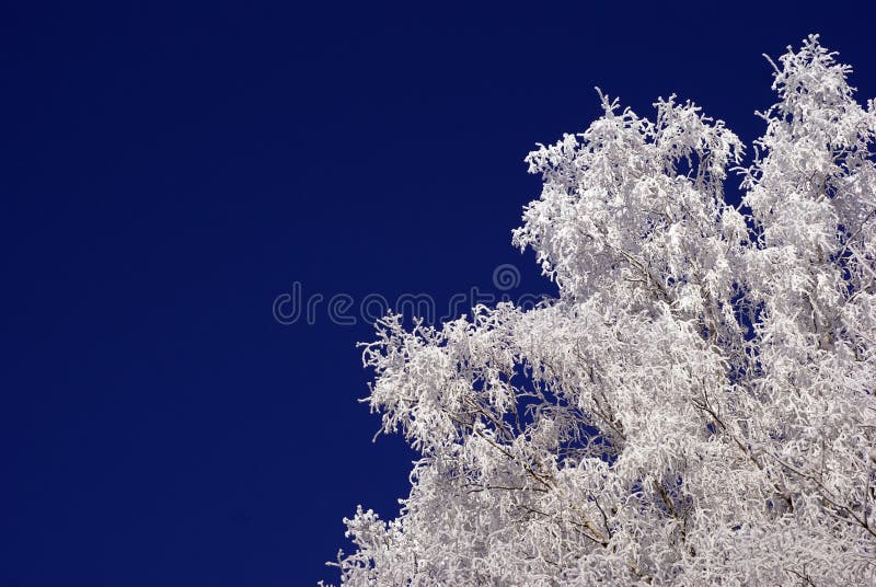 Frosty Tree in Winter Landscape. Stock Image - Image of frozen, white ...