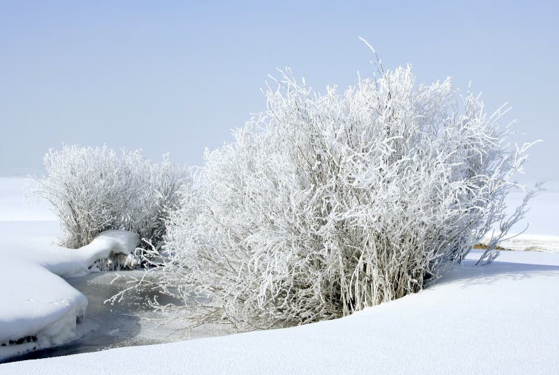 Heavy Snowfall during Winter in the City. Cold Weather Stock Photo ...