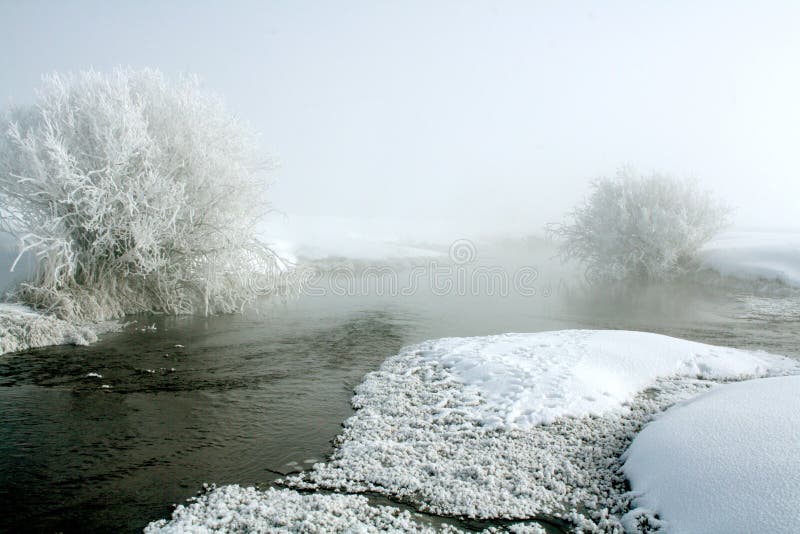 Frosty and very cold stock photo. Image of nature, water - 10705104
