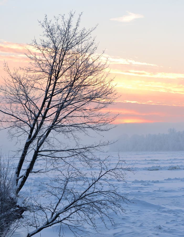 Frosty winter day i stock photo. Image of color, abstract - 67432108