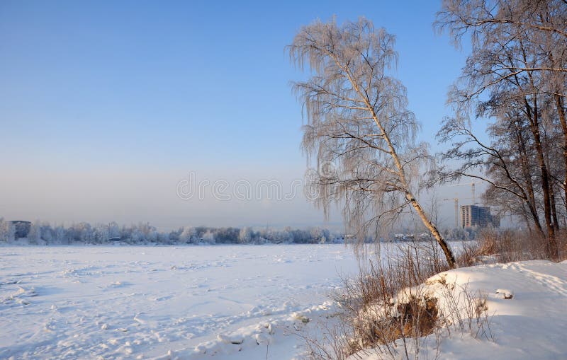 Frosty winter day stock image. Image of light, weather - 67431955