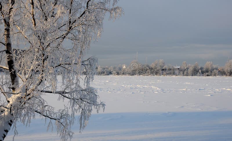 Frosty winter day stock image. Image of leisure, dawn - 67432121