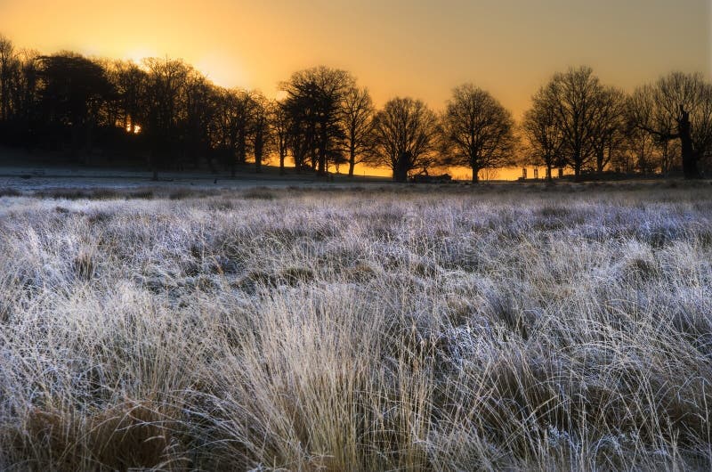 Frosty Winter Landscape Across Field at Sunrise Stock Image - Image of ...