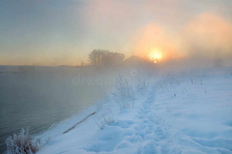 Frosty winter morning stock photo. Image of branch, light - 12206946