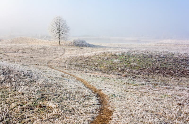 Frosty Winter scene stock image. Image of outdoor, bright - 49604325