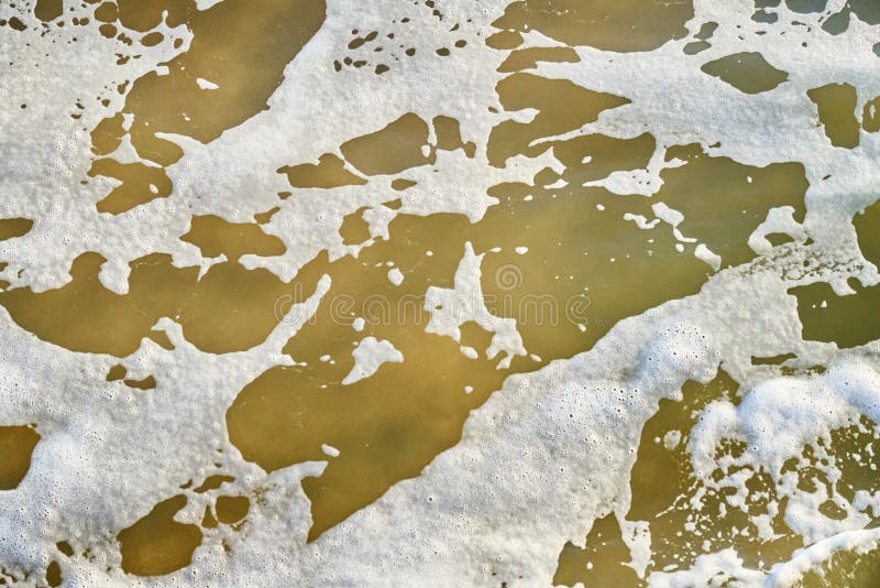 Frothy Brown Sea Water Abstract Stock Image - Image of ocean, nature ...