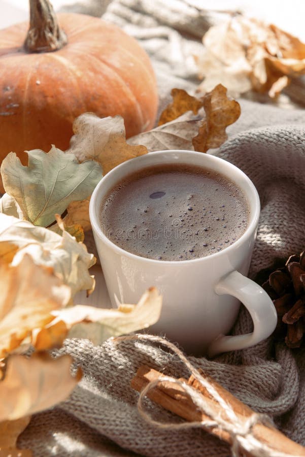 Coffee, Hot Invigorating Dry among Autumn Leaves, Red Pumpkin Stock ...