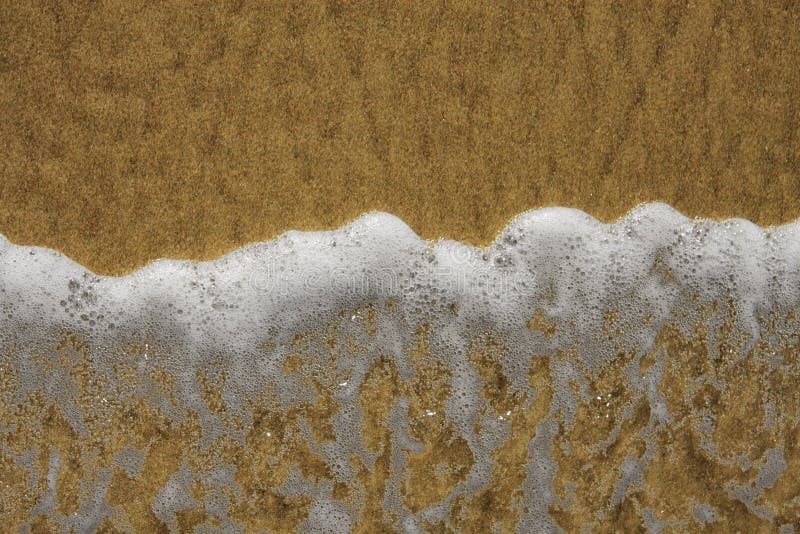Frothy Ocean Wave on a Sandy Beach Stock Photo - Image of lapping ...