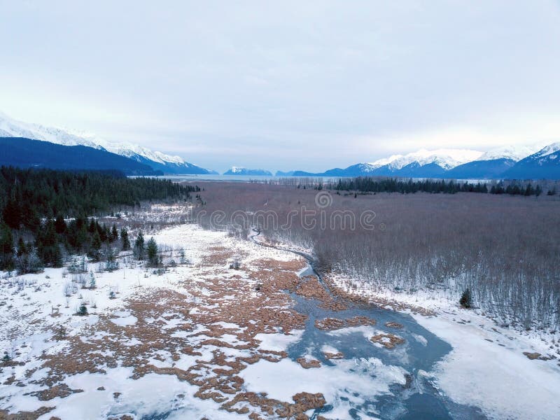 Frozen Alaskan marsh stock photo. Image of ocean, scwnic - 138386902