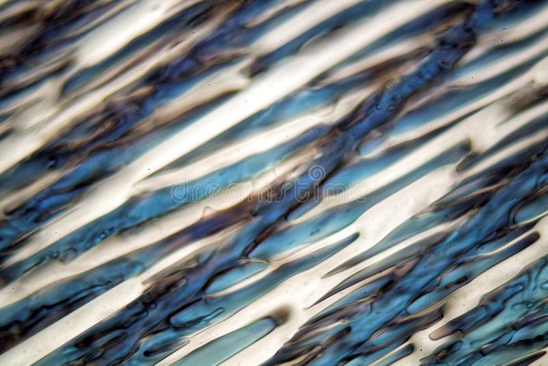 Frozen Apple Juice Under a Microscope. Stock Image - Image of healthy ...