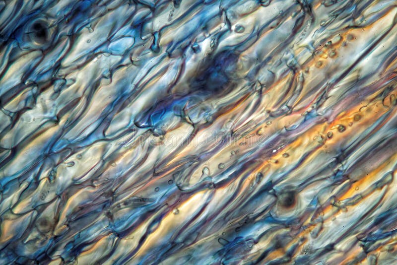 Frozen Apple Juice Under a Microscope. Stock Image - Image of healthy ...