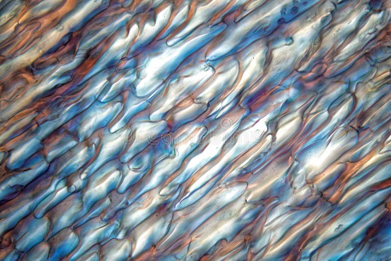 Frozen Apple Juice Under a Microscope. Stock Illustration ...