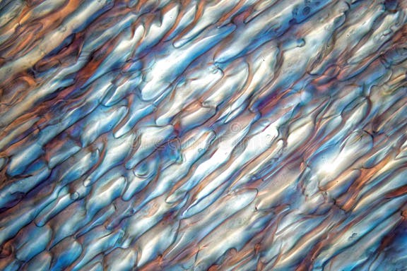 Frozen Apple Juice Under a Microscope. Stock Illustration ...