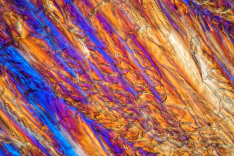 Frozen Apple Juice Under a Microscope. Stock Illustration ...