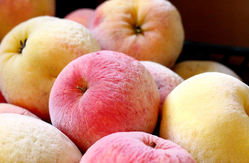 Frozen apples stock image. Image of food, fruits, winter - 7663489
