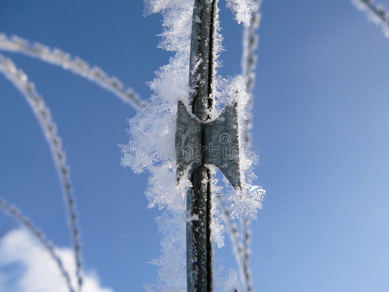 Frozen Barbed Wire at Midday Stock Photo - Image of beautiful, winter ...
