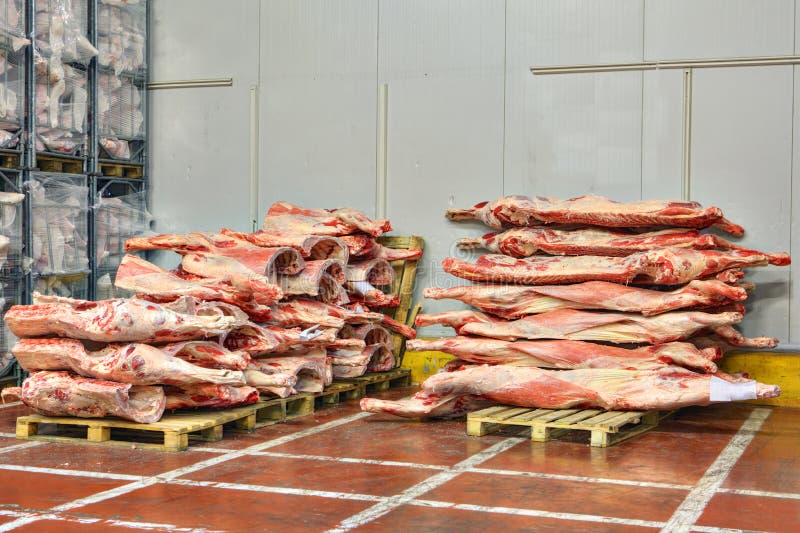 Frozen Beef Carcasses are Stacked on Pallets for Cold Storage. Stock ...