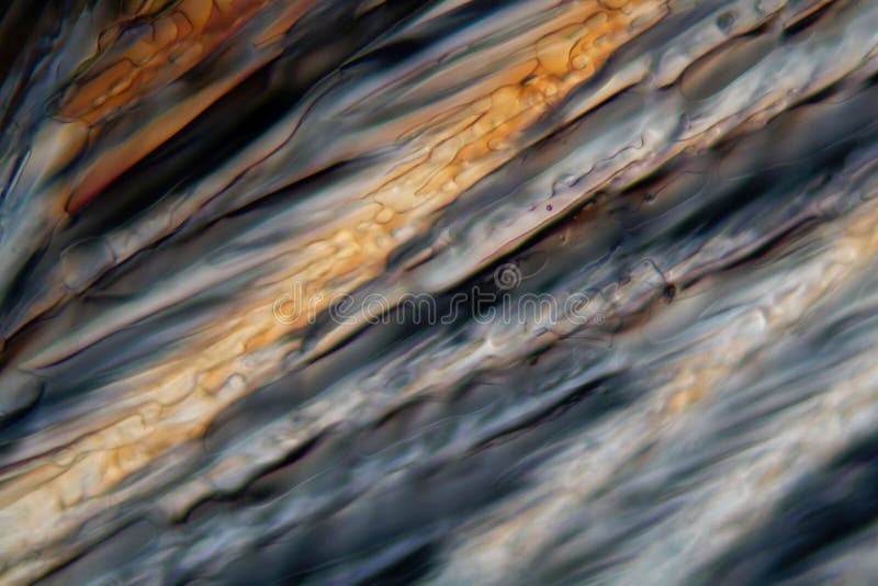 Frozen Beer Under a Microscope, German Pale Lager Beer. Stock Photo ...