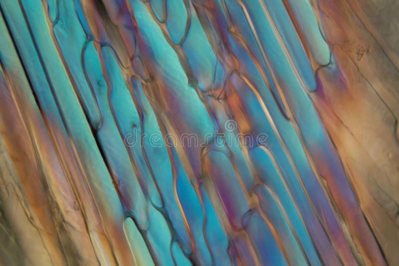 Frozen Beer Under a Microscope, Dark Wheat Beer. Stock Photo - Image of ...