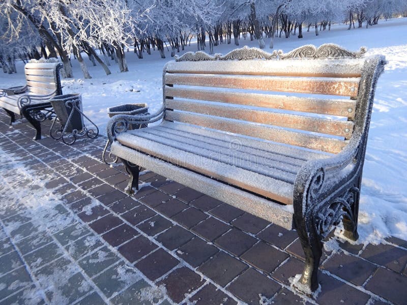 Frozen Bench in a City Park Winter Stock Image - Image of december ...