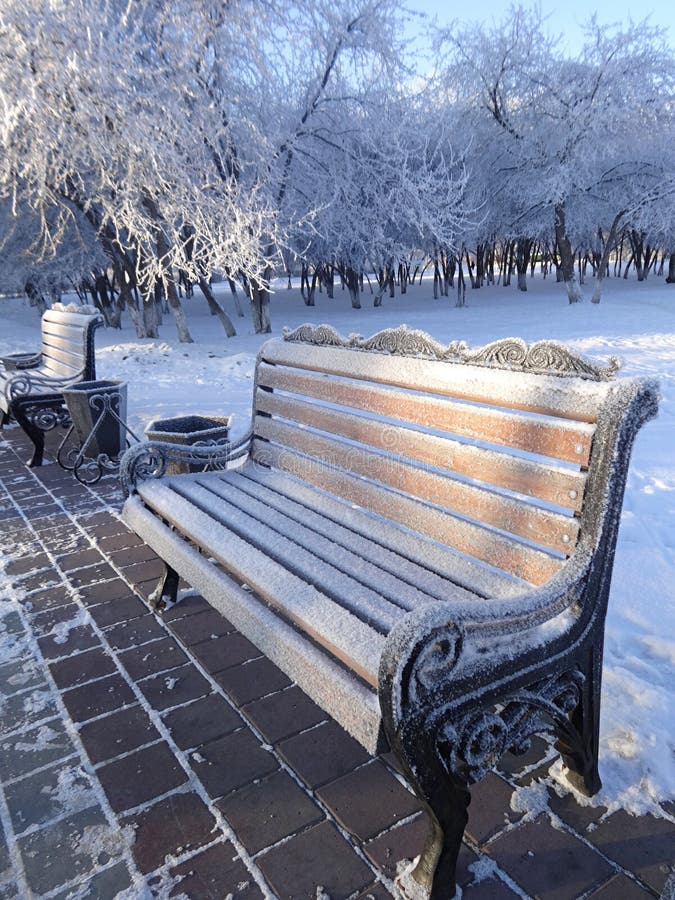 Frozen Bench in a City Park Winter Stock Photo - Image of december ...