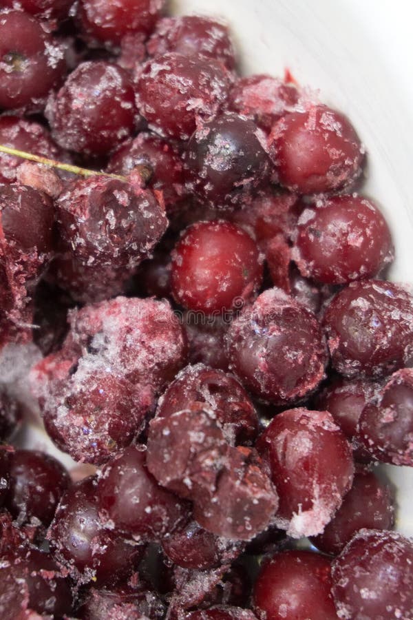 Frozen Berries, Black Currant, Red Currant, Raspberry Blueberry. Top ...