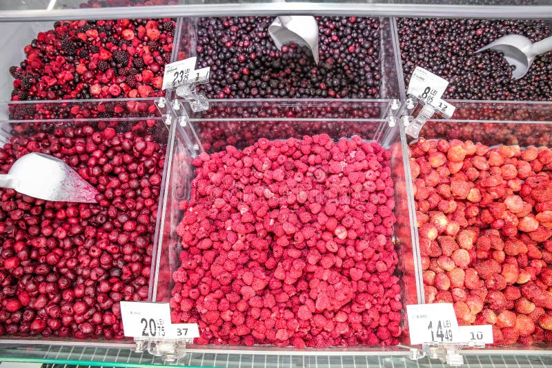 Red frozen berries stock photo. Image of iced, bush, berry - 3264384