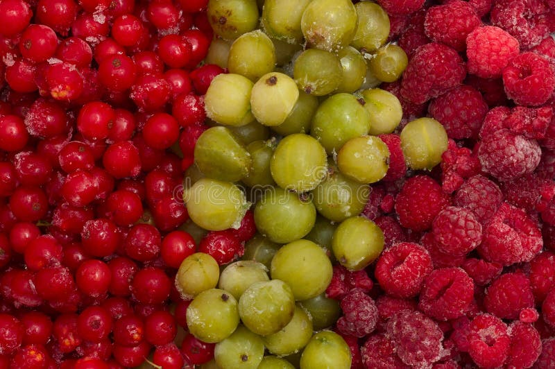 Frozen berries mix stock image. Image of eating, meal - 37487973