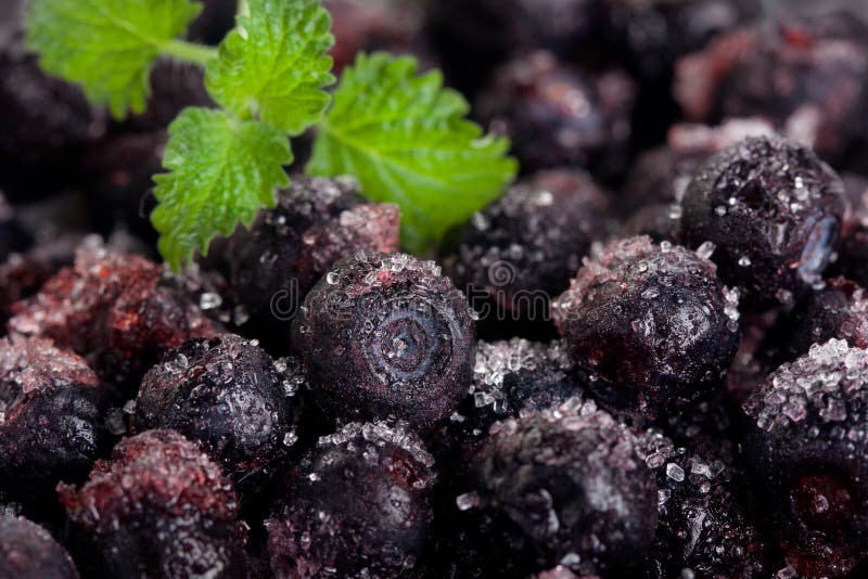 Frozen berry stock photo. Image of eating, berry, culinary - 18046096