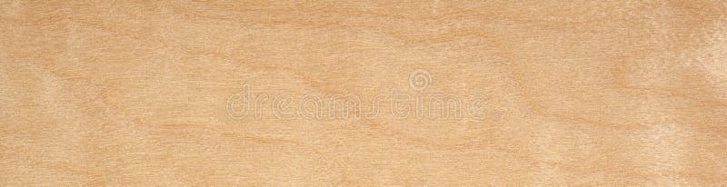 Frozen Birch Veneer Wood Texture Surface in Close Up Stock Photo ...