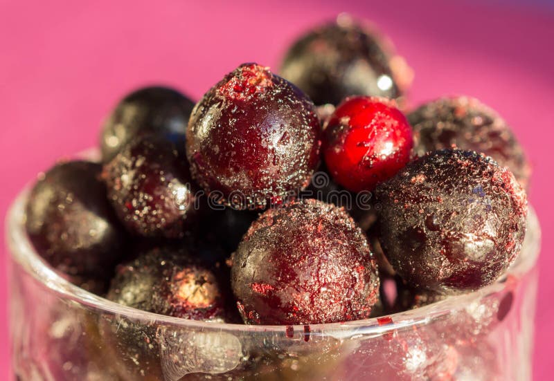 The Frozen Black Currant in a Glass Stock Photo - Image of nature, food ...