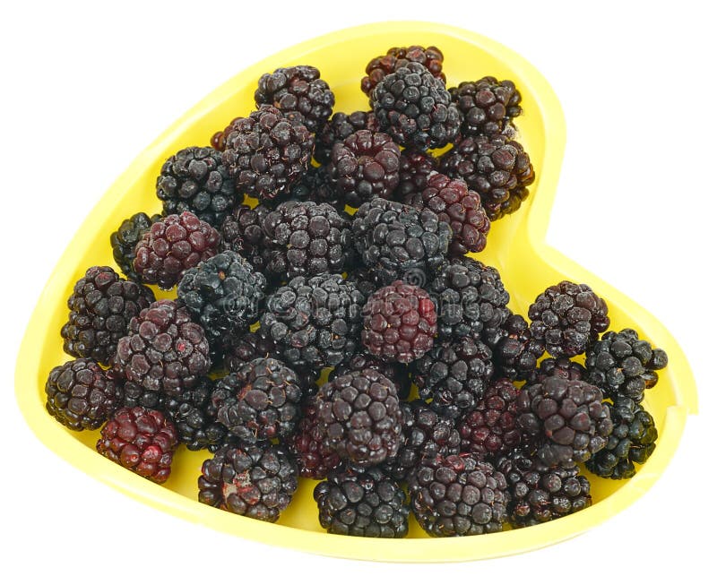 Frozen Blackberries stock photo. Image of color, blackberries - 12987990
