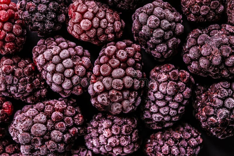 Frozen Blackberries, Closeup Stock Photo - Image of blackberry, organic ...