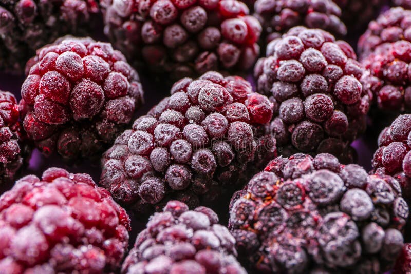 Frozen Blackberries, Closeup Stock Image - Image of blackberries ...
