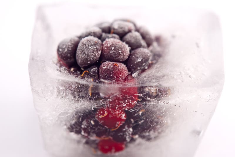 Frozen blackberry stock photo. Image of frozen, background - 12475034