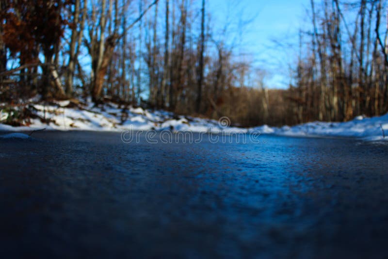 Frozen Blue Puddle of Water in the Forest. Behind the Frozen Pool of ...
