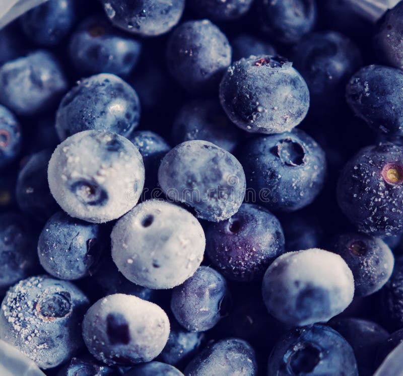 Frozen blueberries stock photo. Image of fruits, diet - 43731720