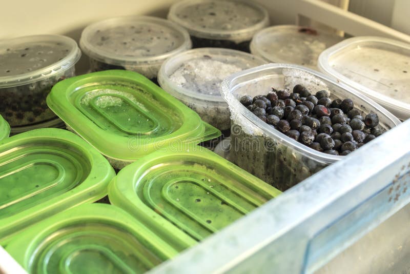 Frozen Blueberries in the Fridge Packed in Plastic Boxes. Stock Image ...
