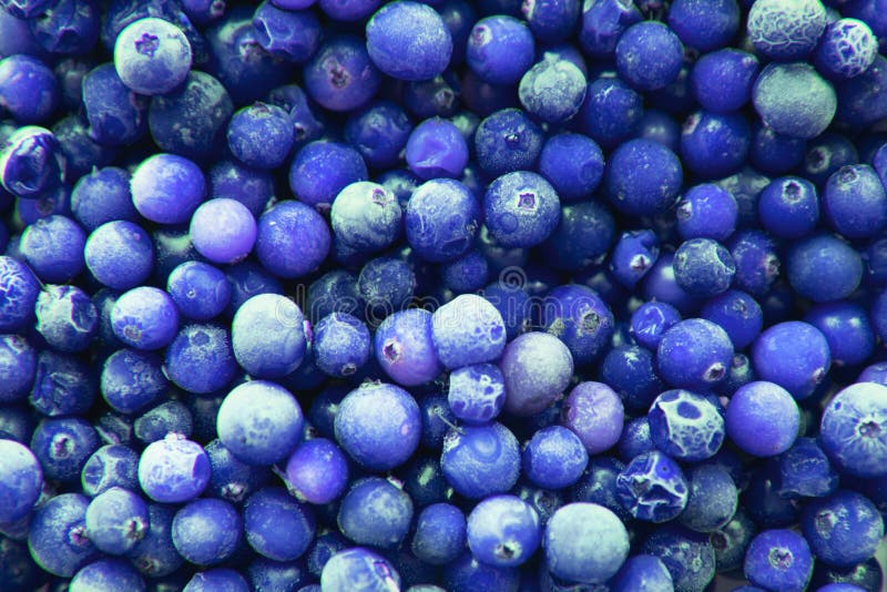 Frozen Blueberries. Top View Stock Image - Image of delicious, colorful ...