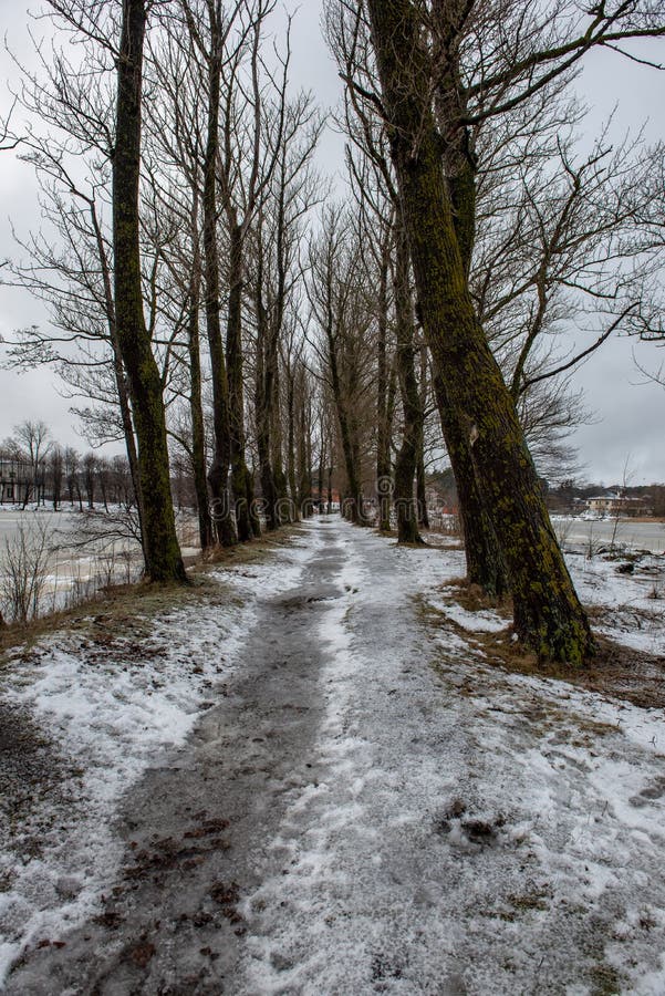 Frozen Bodies Of Water In Deep Winter Under Snow Stock Image - Image of ...