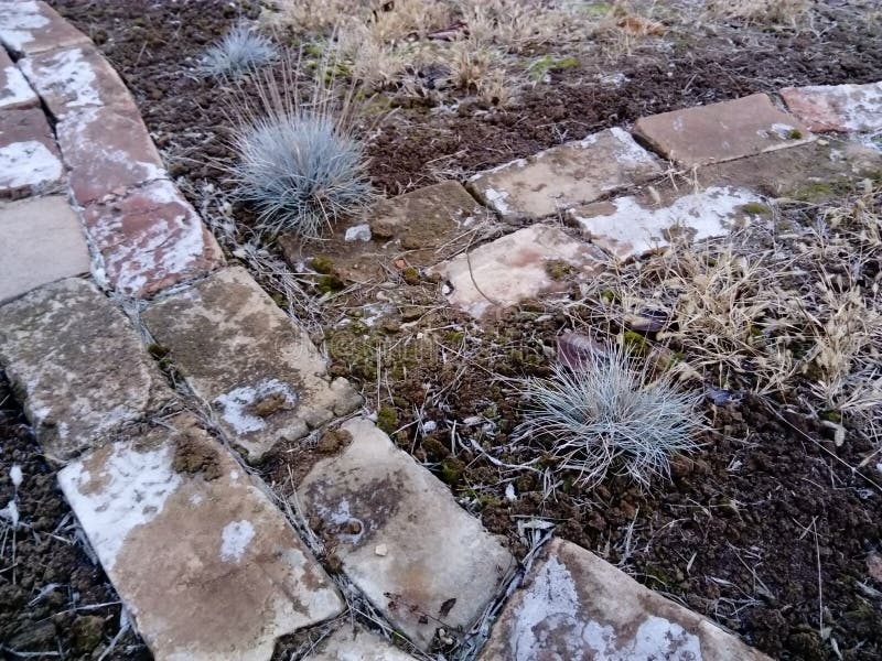 Frozen Brick Pathway with Blue Grass Stock Image - Image of bricks ...