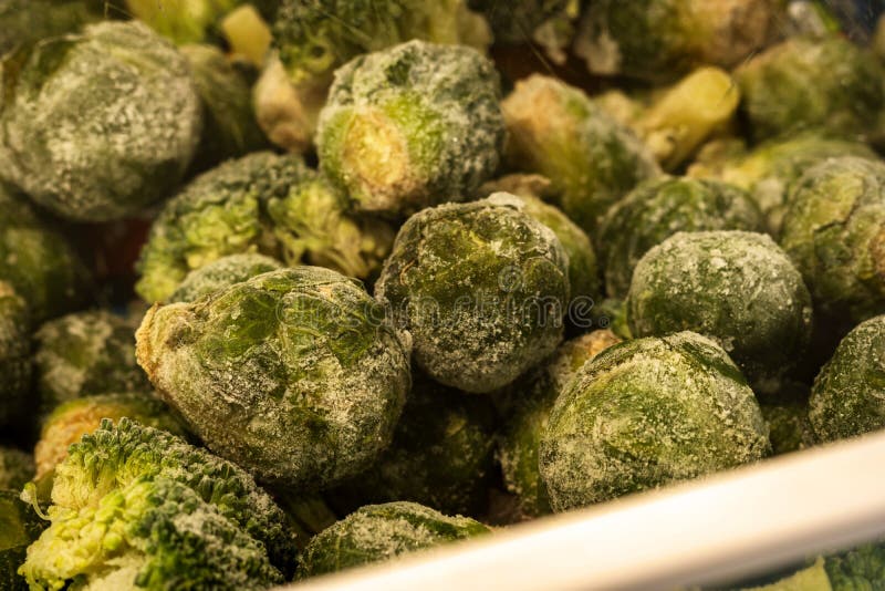 Frozen Broccoli Florets and Brussel Sprouts Inside Freezer Fridge ...