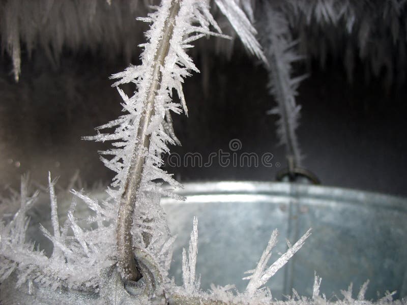 The frozen bucket stock image. Image of cold, handle, coldly - 1903029