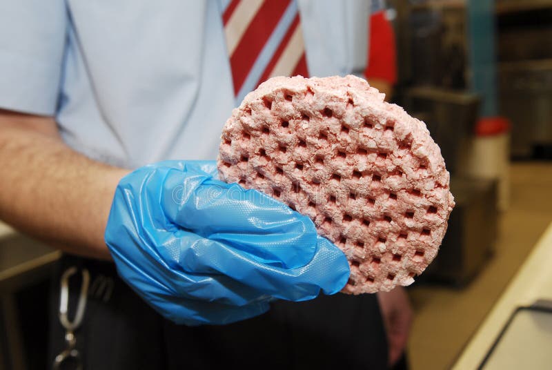 Frozen Burger In The Cook Hand Ready For Preparing Stock Image - Image ...
