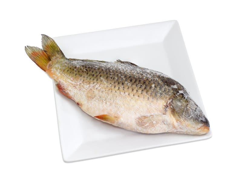 Frozen Carp on White Dish on a Light Background Stock Image - Image of ...