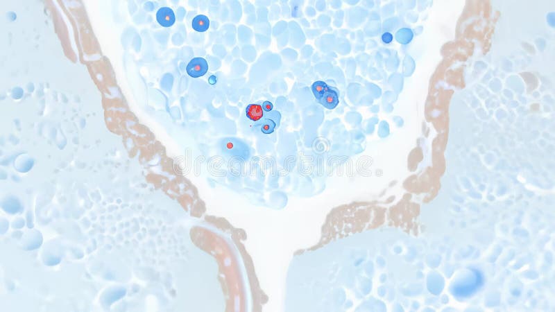 Frozen Circular Forms in White and Blue Tones Resembling Cells Under ...