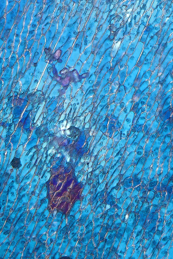 Frozen Copper Sulphate Crystals Stock Photo - Image of details ...